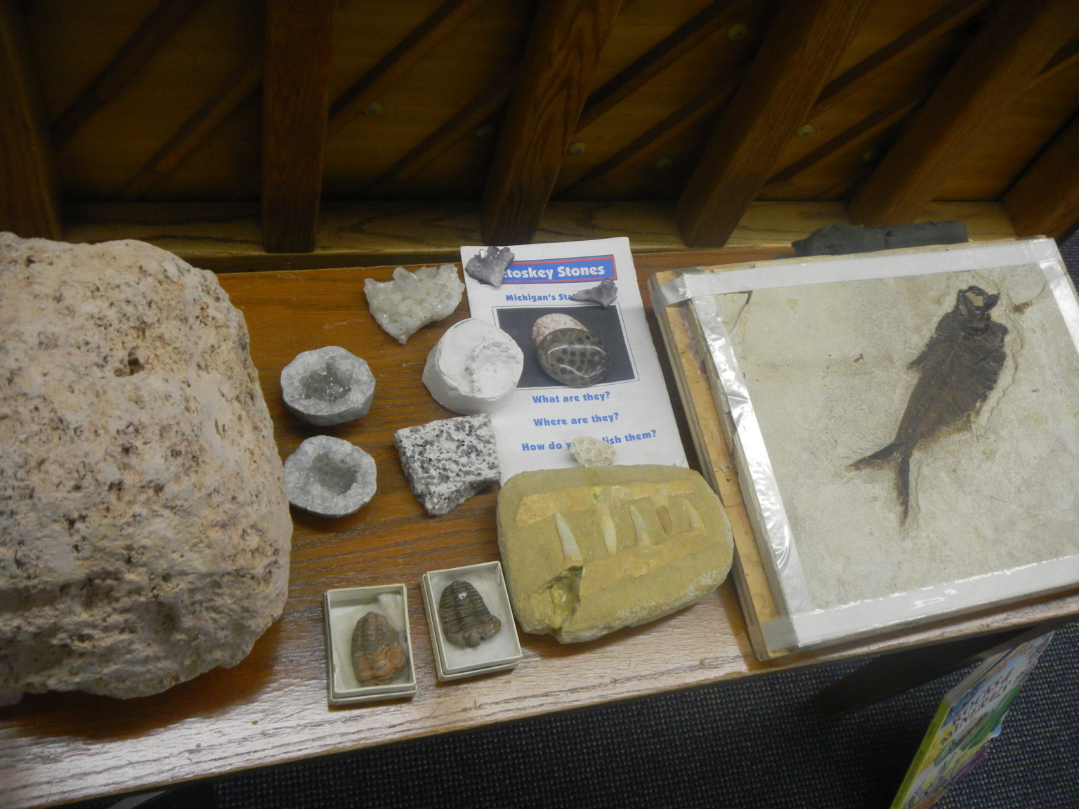 Science Rocks & Fossils - Getting Excited About Science