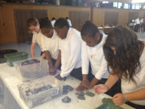 Getting Excited About Science Workshops - Getting Excited About Science